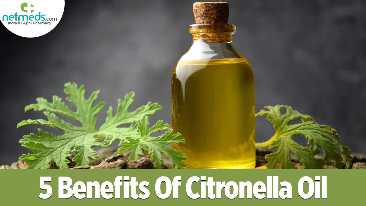 5 Excellent Benefits Of Citronella Essential Oil - YouTube
