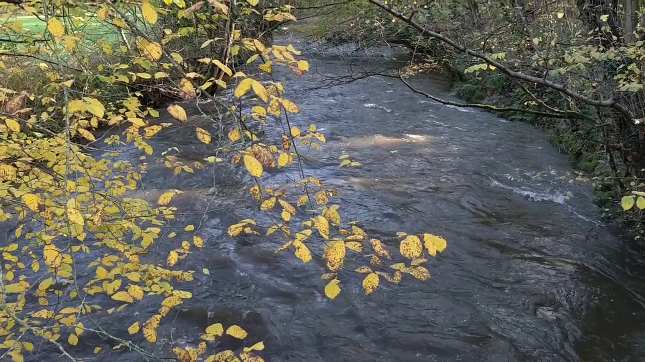 Alyn Waters Country Park Wrexham - YouTube