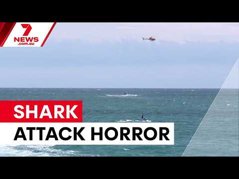 Fatal shark attack at Perth beach | 7NEWS