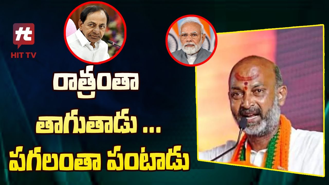 రాత్రంతా తాగుతాడు ...పగలంతా పంటాడు - Vikram Poola Analysis On Bandi ...