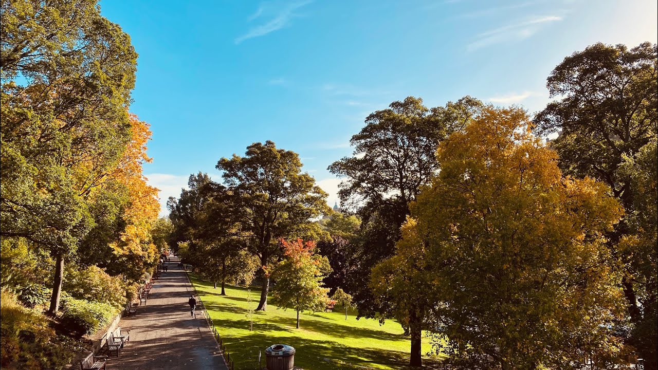 Peak Autumn Foliage In Medieval Edinburgh, Scotland (Experience Fall 🍁🍂 ...