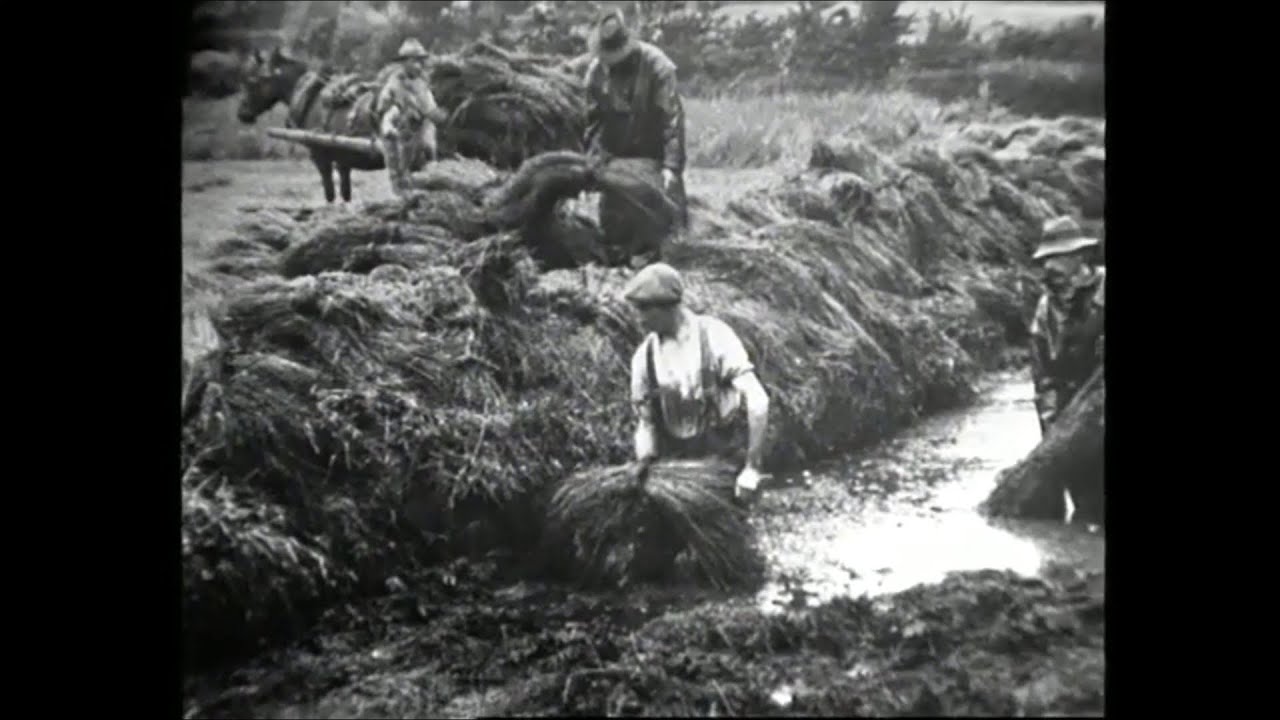 19th Century Working Life in Ireland, 1969 - YouTube
