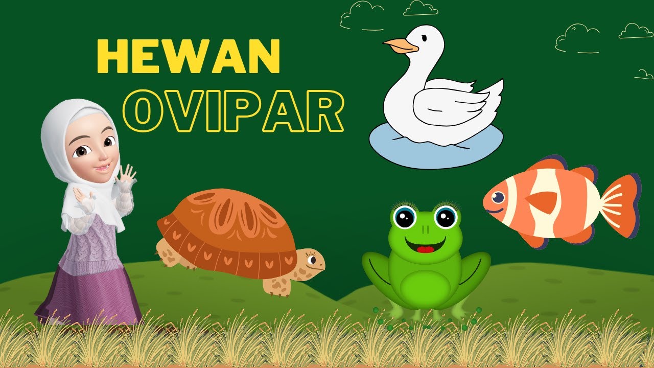 HEWAN OVIPAR | Mengenal Contoh-Contoh Hewan Ovipar ️💫 - YouTube