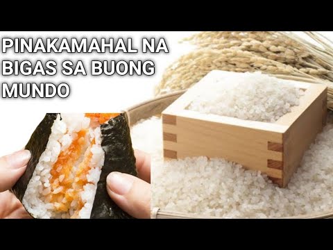 Pinakamahal Na Bigas sa Buong Mundo | Most Expensive Rice in The World ...