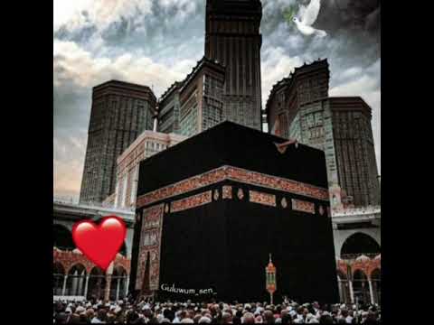 𝑾𝒉𝒂𝒕𝒔𝒂𝒑𝒑 𝒔𝒕𝒂𝒕𝒖𝒔 𝒖𝒄𝒖𝒏 17 𝒔𝒂𝒏𝒊𝒚𝒆𝒍𝒊𝒌 , 𝒅𝒊𝒏𝒊 𝒗𝒊𝒅𝒆𝒐𝒍𝒂𝒓 🕋❤