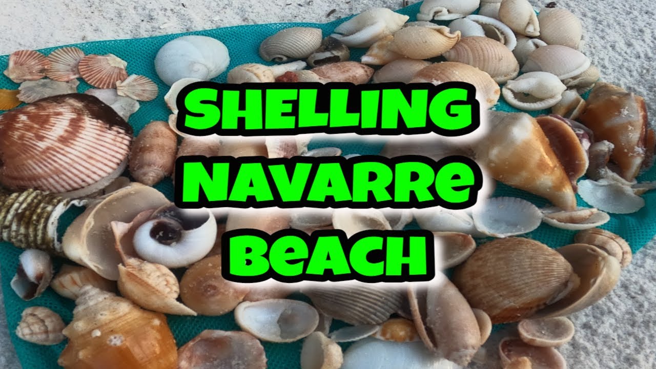 SHELLING Navarre Beach In The Dark 👻 - YouTube