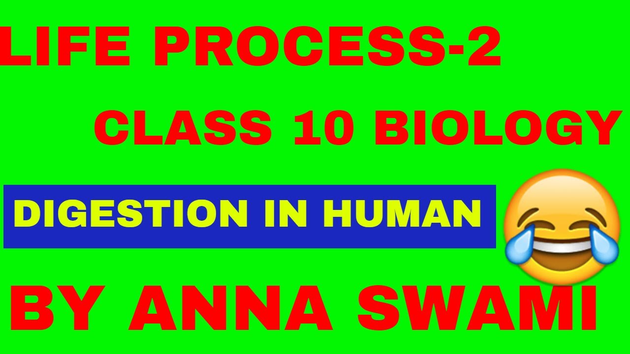 CLASS 10 CBSE LIFE PROCESS || BIOLOGY PART-2| DIGESTION IN HUMAN - YouTube