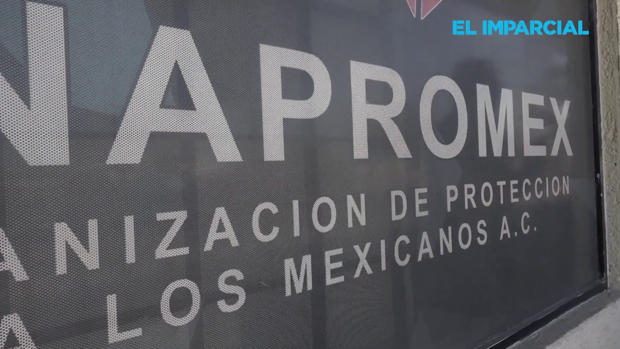 Catean oficinas de Anapromex, Condefa y Anappafa en Mexicali - YouTube