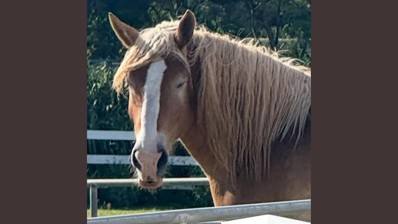 JUMPOUT ANTHEM (feat. Jumpout Marr) - YouTube