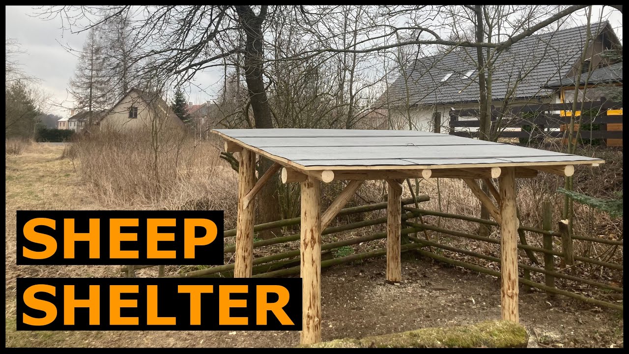 Lumber Tales: Building a Sheep Shelter - YouTube