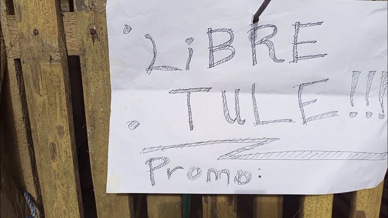 OPERATION TULI#tuli na promo pa - YouTube