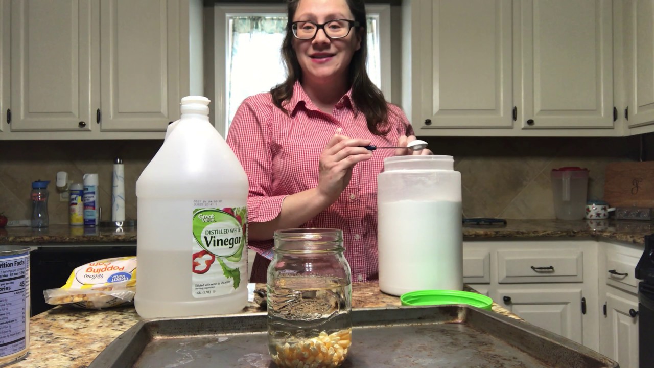 Jumping corn experiment - YouTube