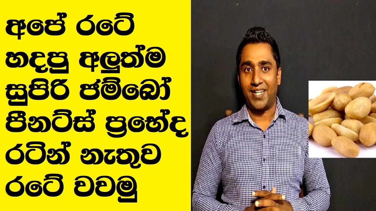 Newly Released Jumbo peanuts Varieties in Sri Lanka - YouTube