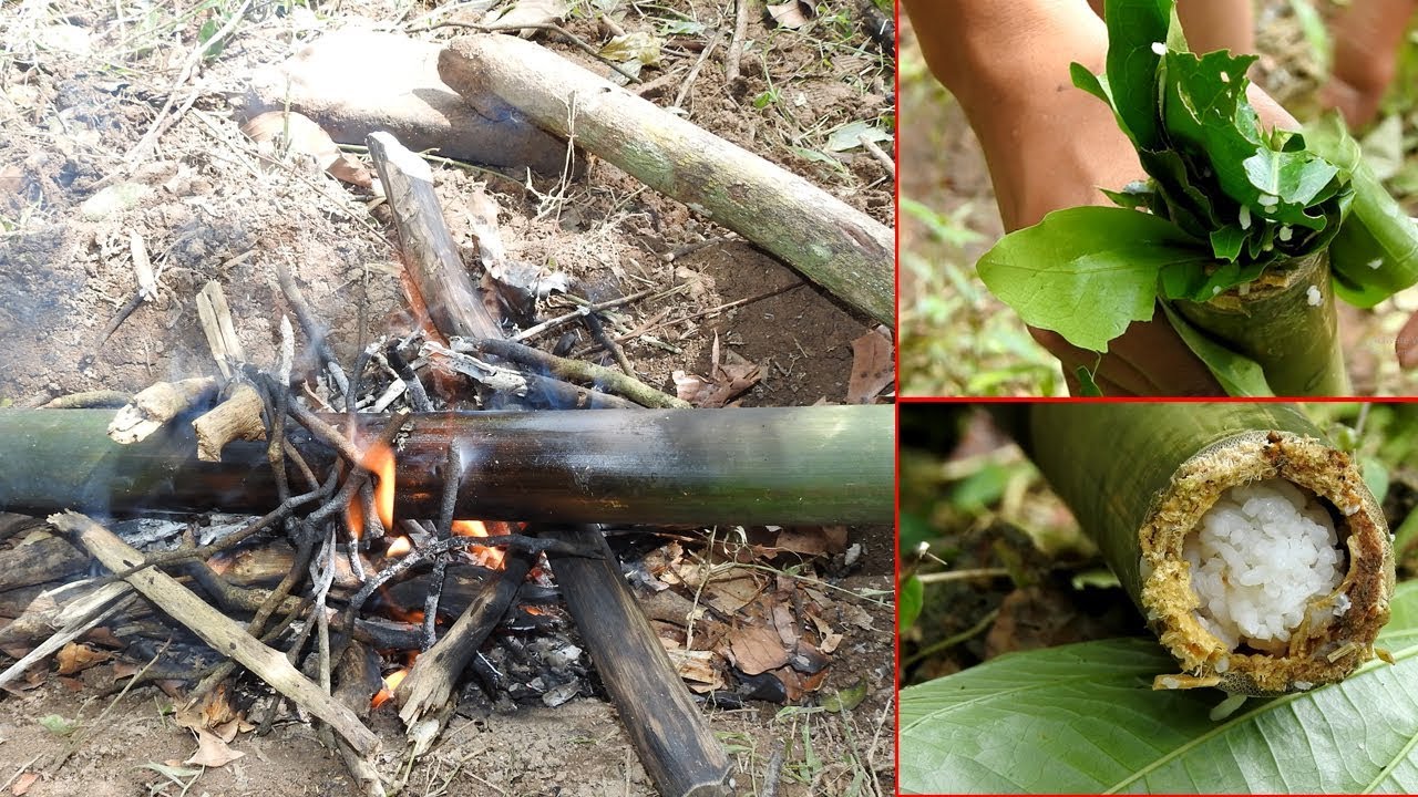 Primitive Technology: Cooking Rice in Bamboo Primitive - YouTube