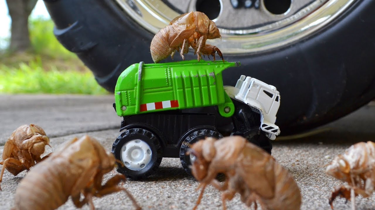 Garbage Truck Videos For Children l Weird Bugs Attack Grouchy Garbage ...