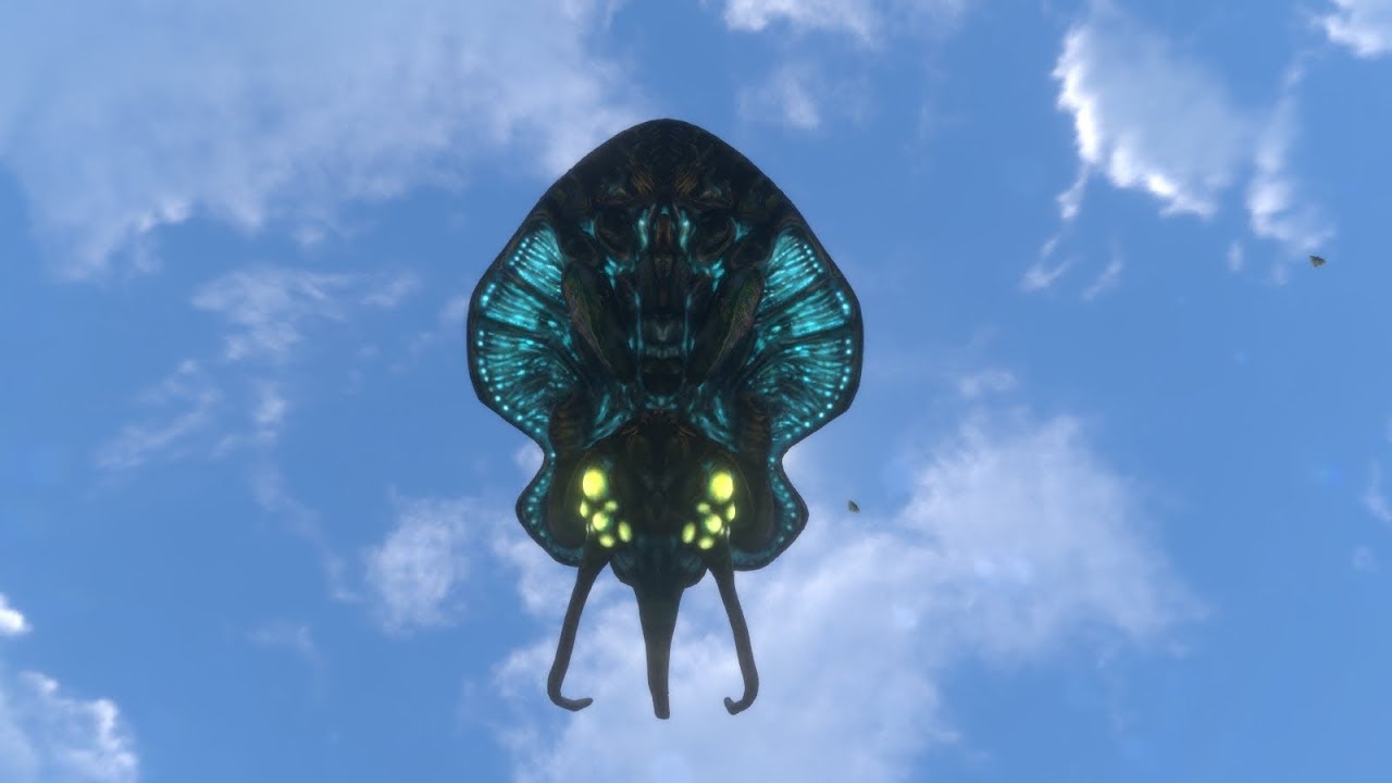 Welcome to Reefback Air - YouTube