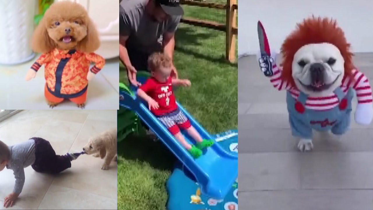 Try Not to Laugh Challenge, Funny Babies Epic Fails Compilation 3 ...