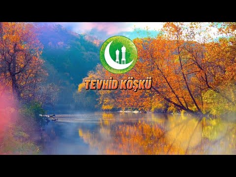 MUHTEŞEM ARAPÇA NEŞİD EZGİ [10] - TEVHİD KÖŞKÜ 2021 EN GÜZEL ARAPÇA FON MÜZİKSİZ NEŞİD İLAHİ
