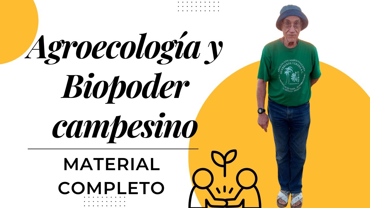 MATERIAL COMPLETO DE CONFERENCIA DEL MAESTRO TIAO | Tema 1 | DIPLOMADO ...