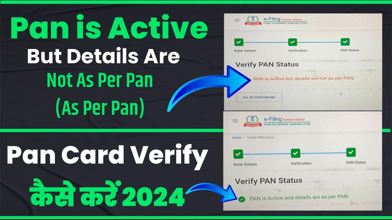 Pan is active but details are not as per pan || How to verify pan card ...