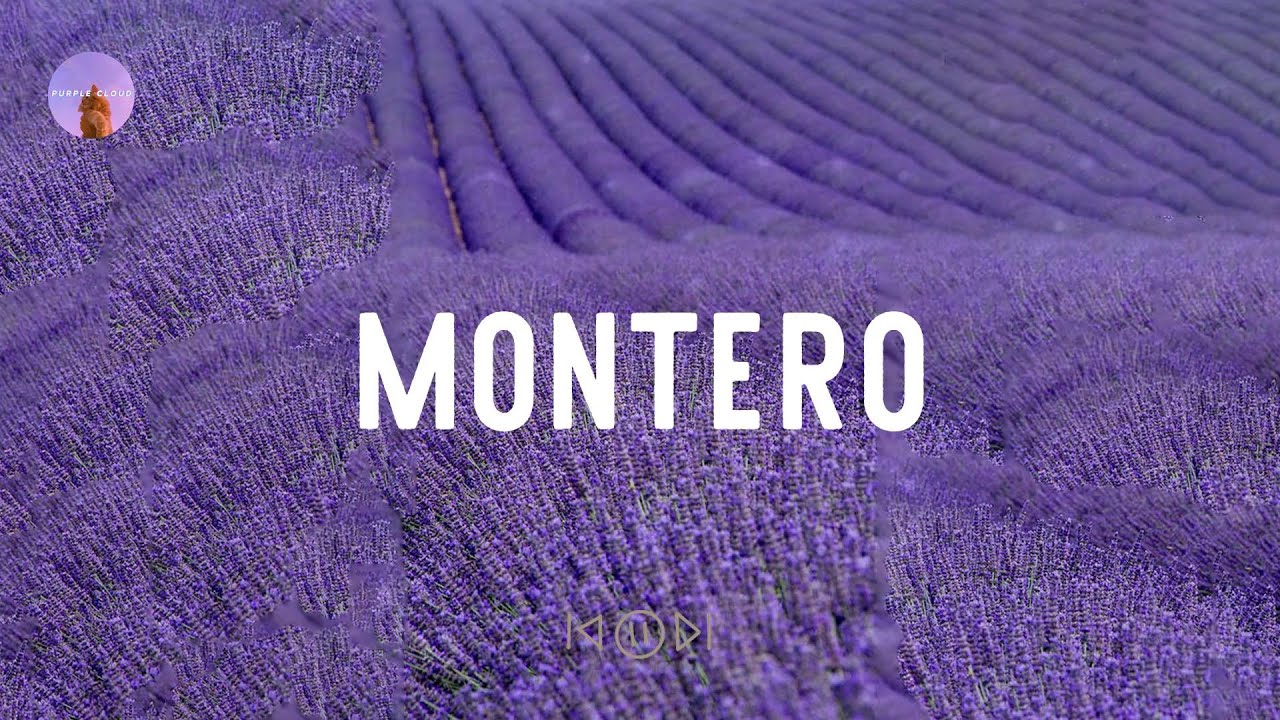 Lil Nas X - MONTERO (Call Me By Your Name) (lyrics) - YouTube