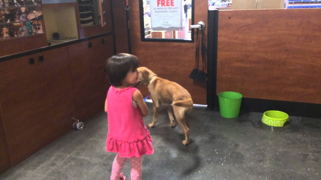 Ansley's Day at the store - YouTube
