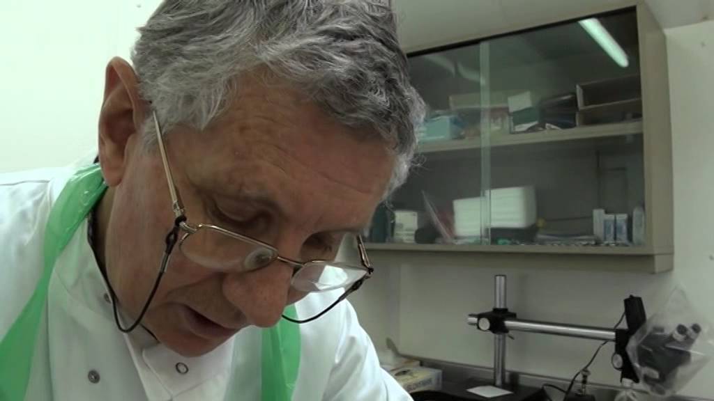 The Price of Fish -- A Video Interview with Wildlife Pathologist Vic ...