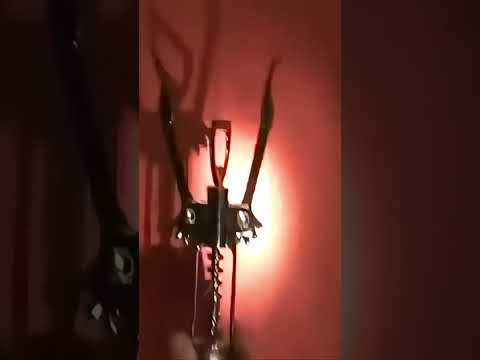 Allah Diyen Tirbüşon Day 6 #allah #daily #tirbuşon