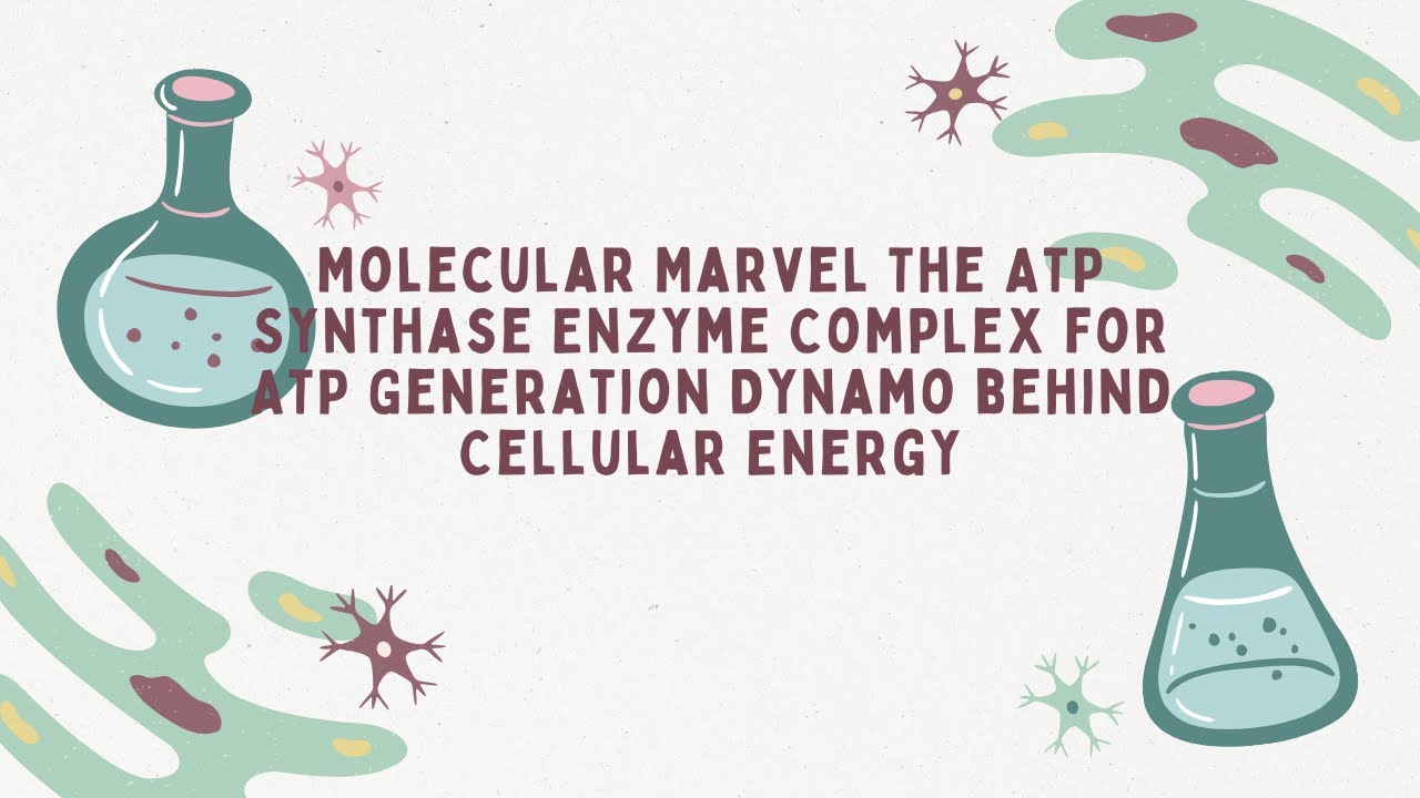 Molecular Marvel The ATP Synthase Enzyme Complex for ATP Generation ...