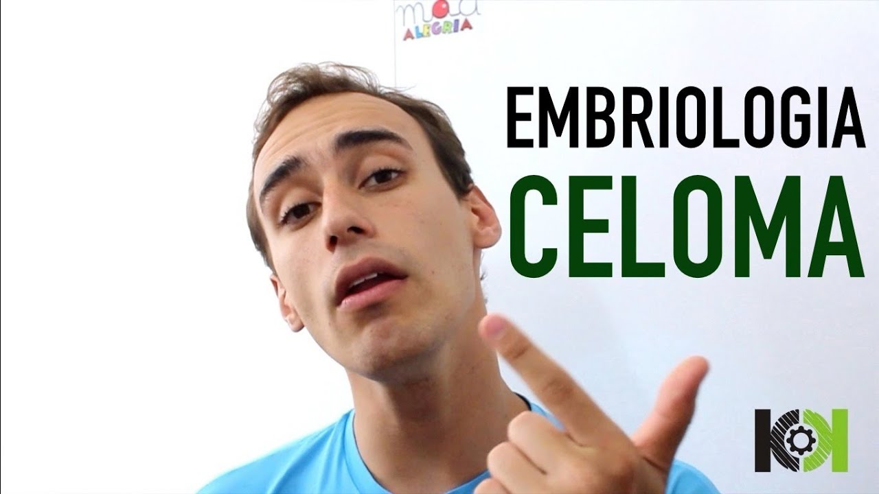 Embriologia - O Celoma - YouTube