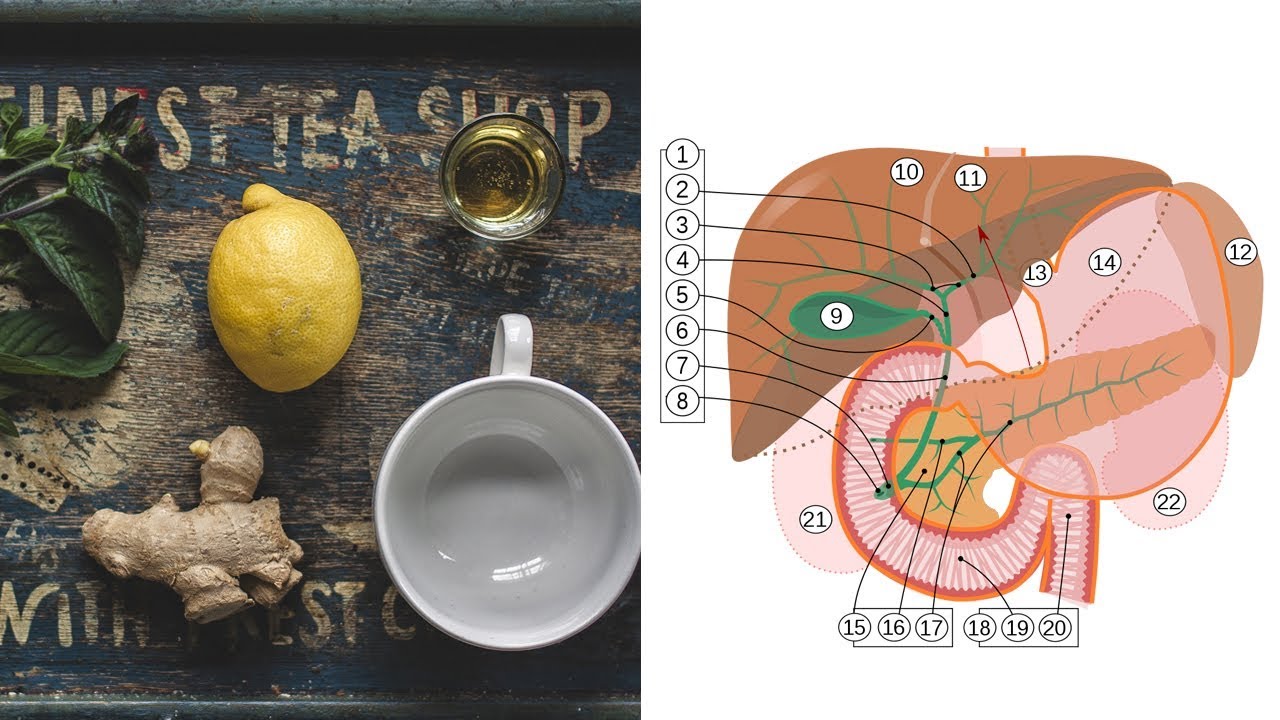 How To Detox The Pancreas Naturally - YouTube