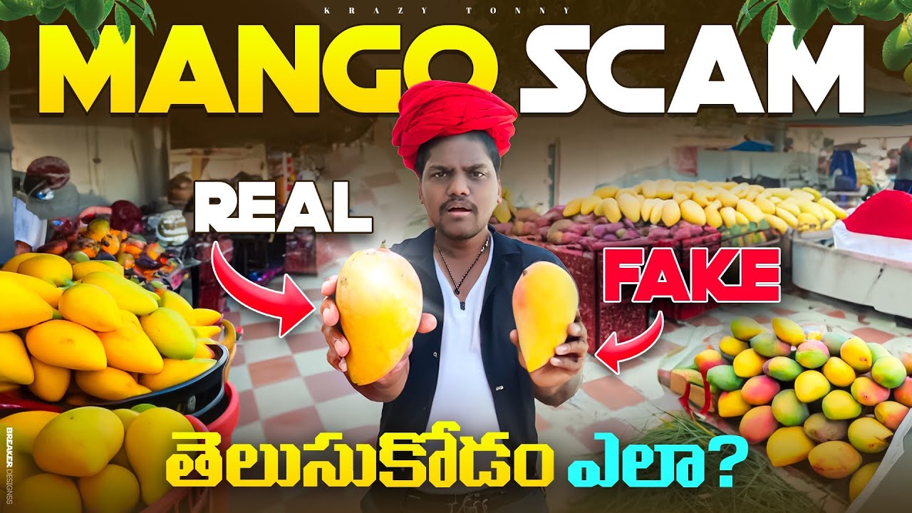Mango "SCAM"How to Identify Fake Mangoes? |Top Interesting Facts in ...