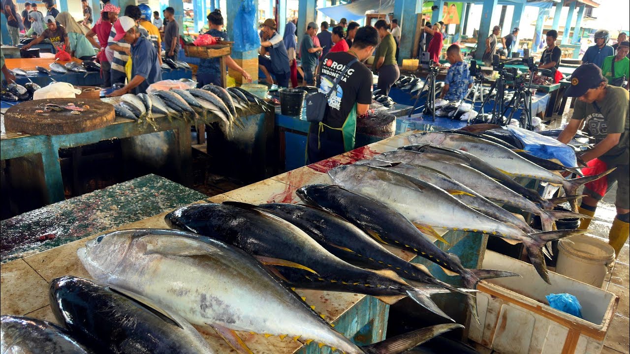 Skilled Hands With Sharp Machetes Cutting Yellowfin Tuna Fish - YouTube