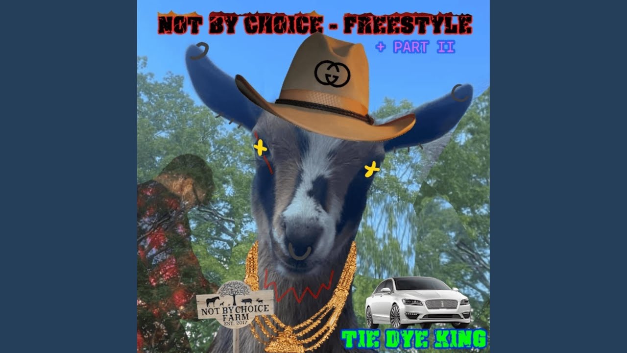 Not By Choice - YouTube