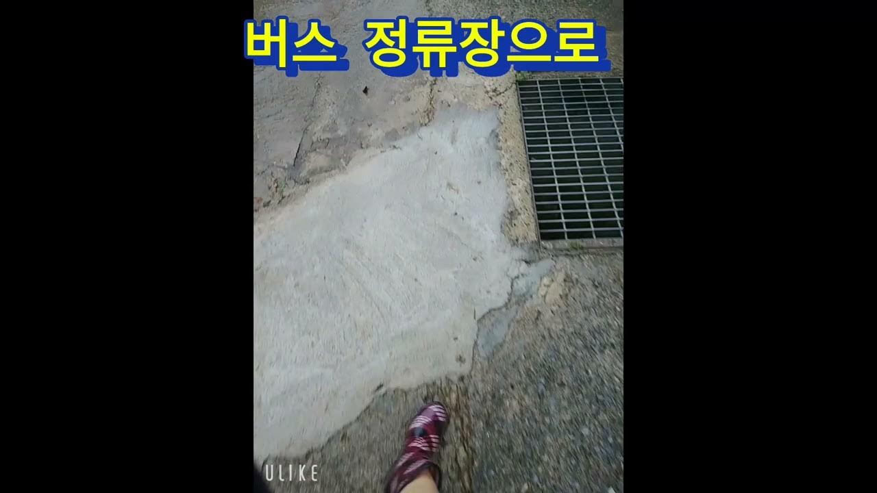 비가내리는데 시내 나가야했다. - YouTube