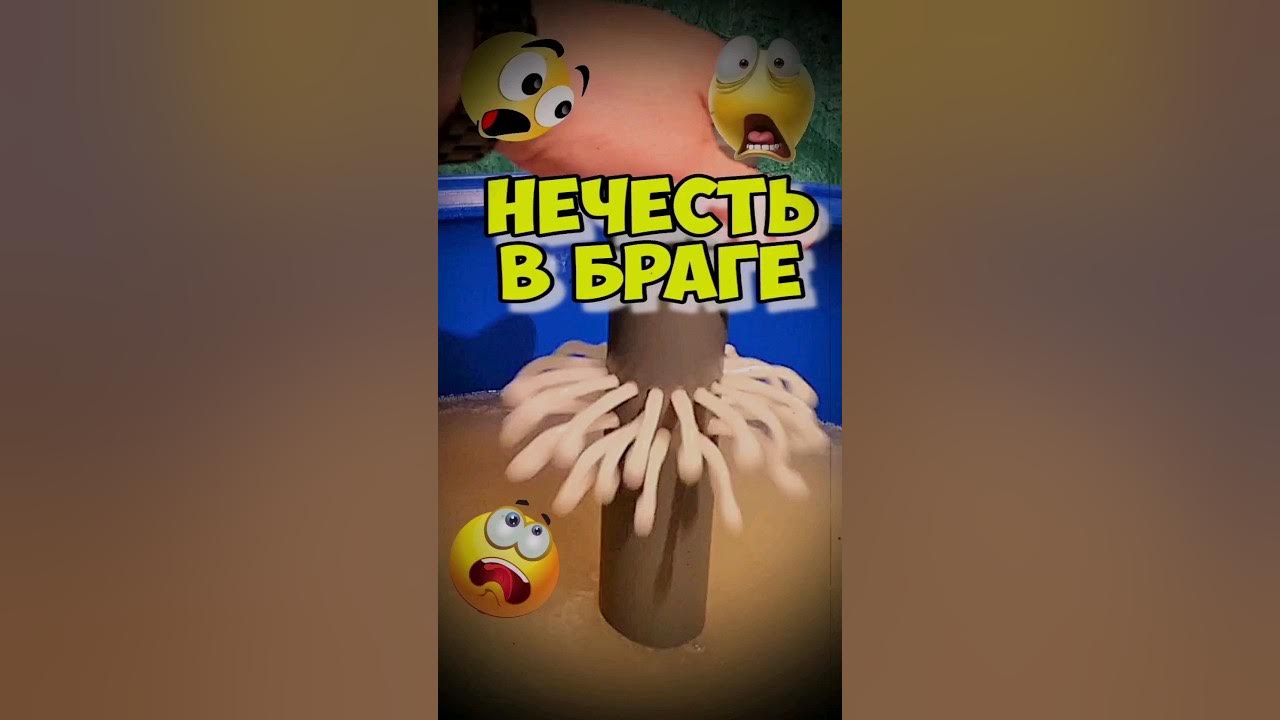гравицапа в действии #гравицапа #какпоставитьбрагу #брага #самогон ...