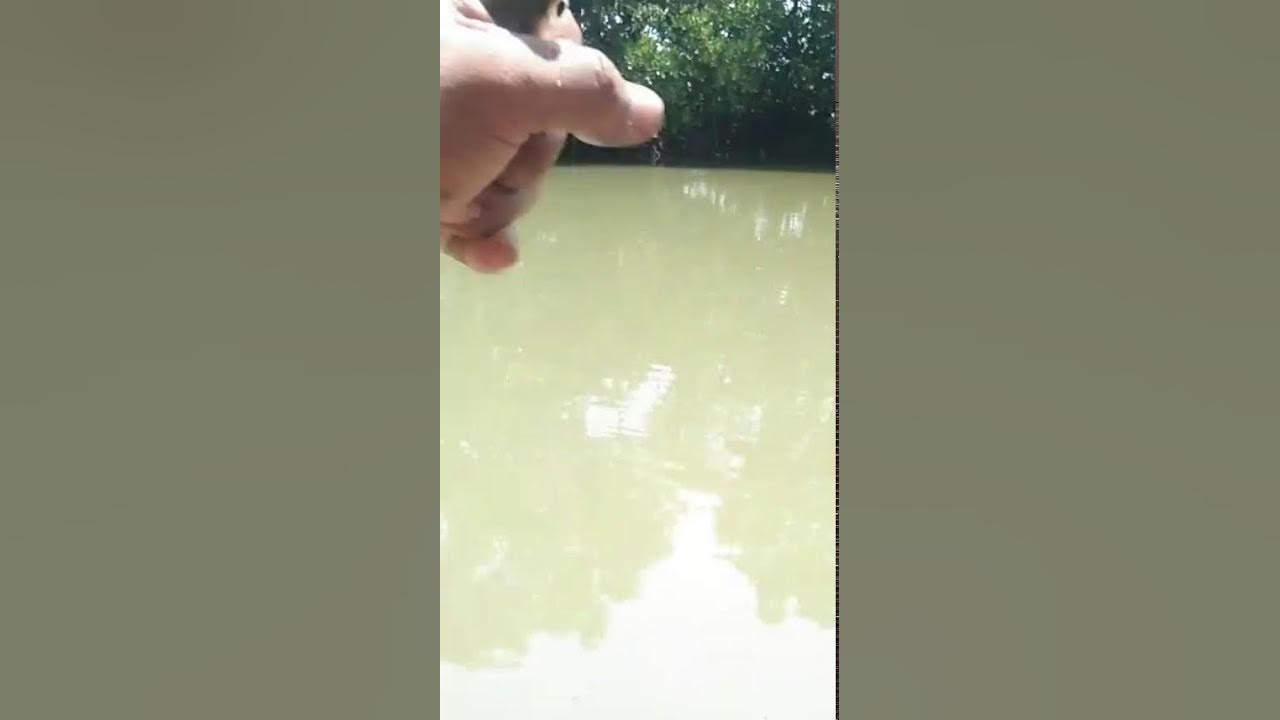 NSP FISHING | MANCING WADER SAMBIL NUNGGU BUKA PUASA - YouTube