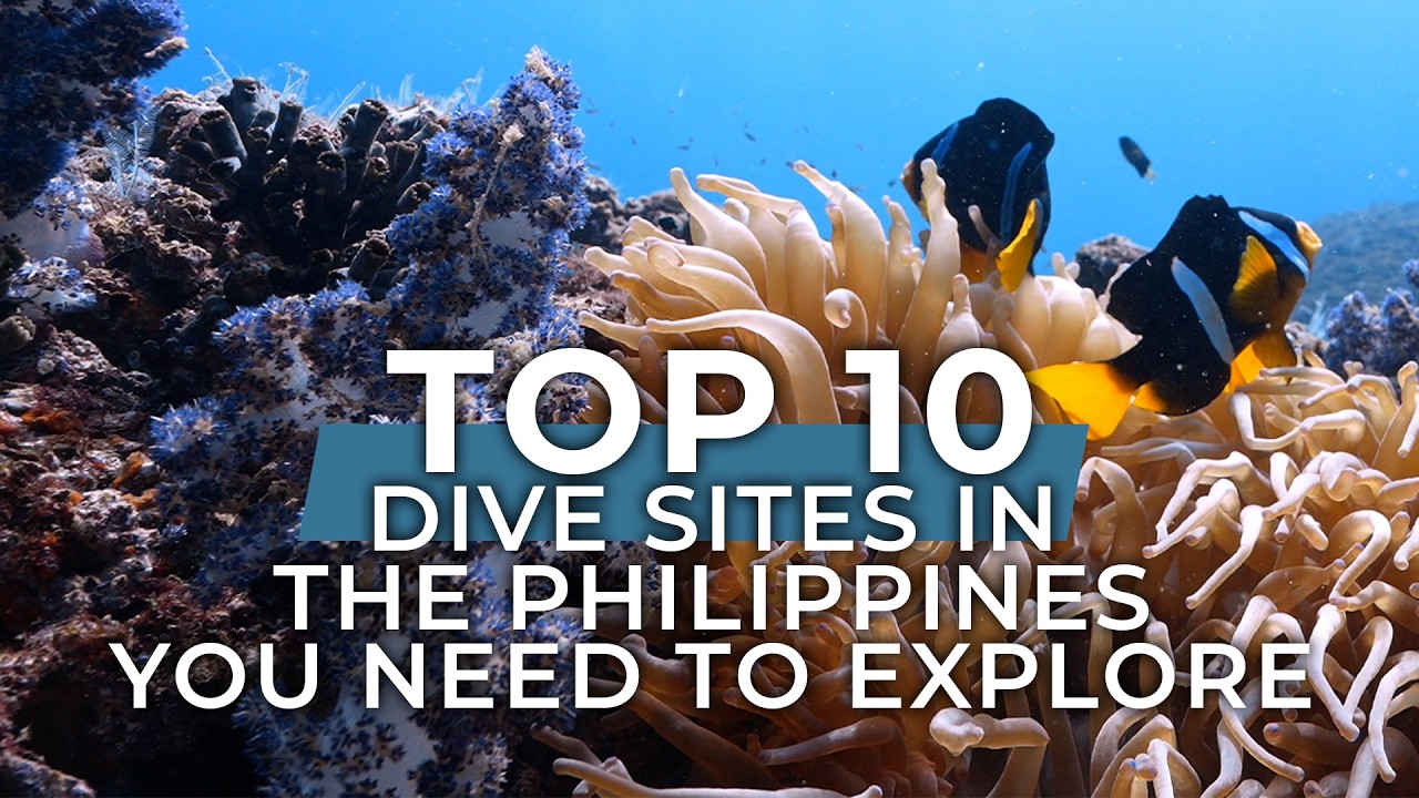 Top 10 Dive Sites in the Philippines You NEED to Explore! - YouTube