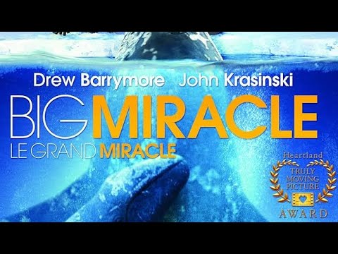 Opening To Big Miracle 2012 DVD - YouTube