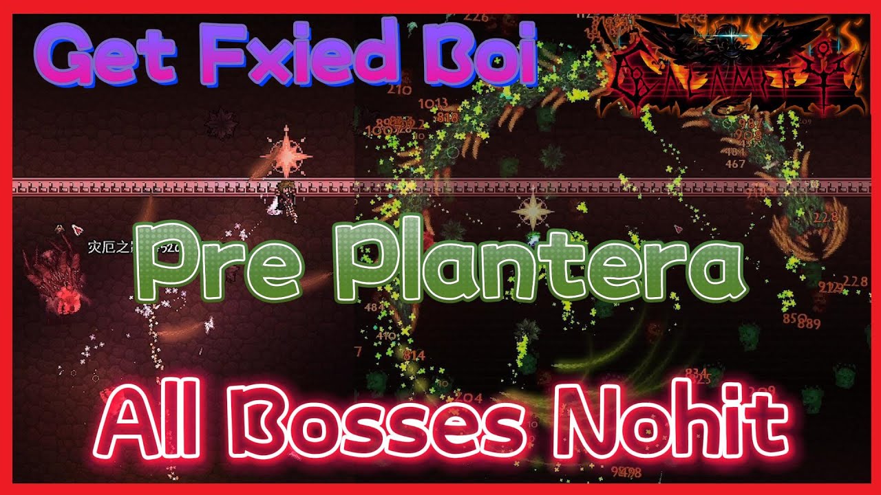 『Terraria Calamity』Get Fixed Boi PrePlantera All Bosses Nohit【谷雨】 - YouTube