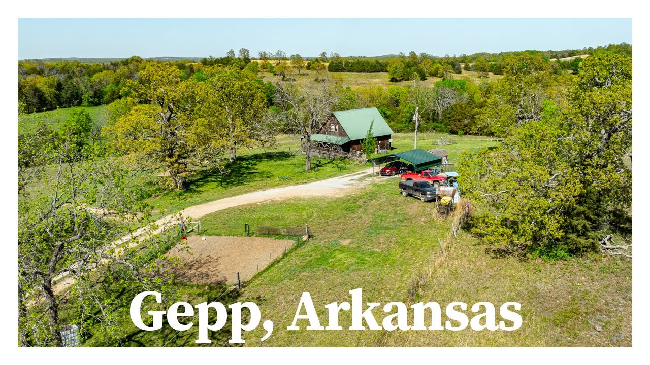 Home for Sale | 843 Raven Ridge Road Gepp, AR 72538 can be bought with ...