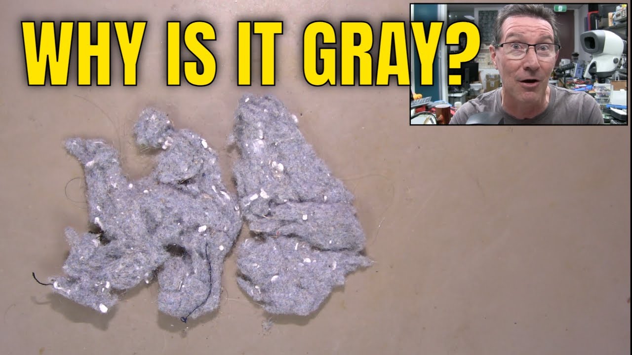 WHY Does Dryer Lint Always Look Gray? - YouTube