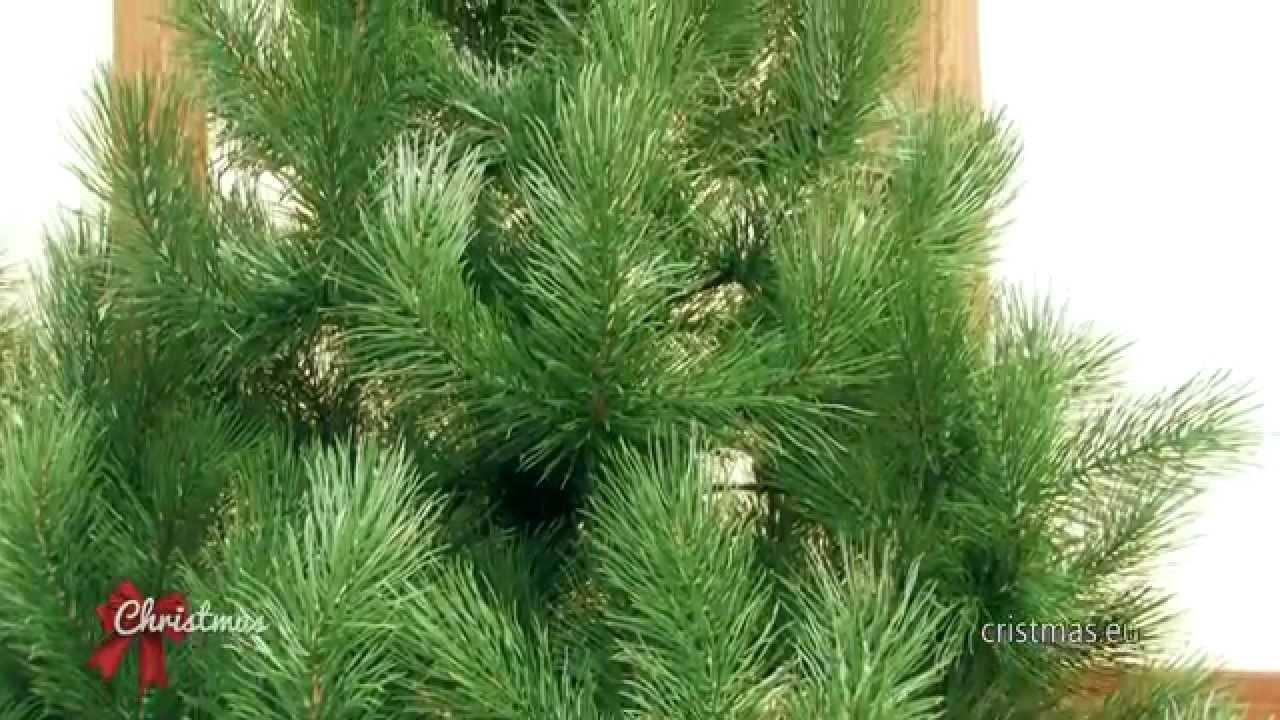 Factory artificial Christmas trees - YouTube