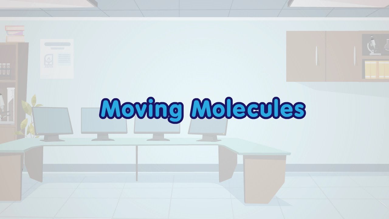 Moving Molecules - YouTube