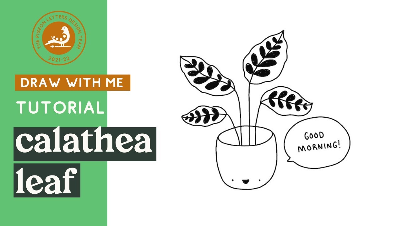 Draw a Calathea Plant Leaf - YouTube