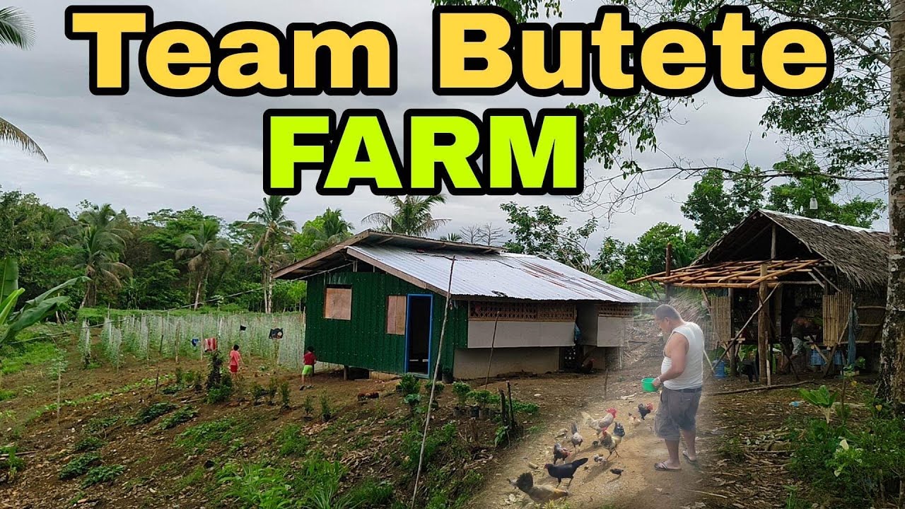 Team Butete Farm Update @edisonbuteteofficial5623 - YouTube