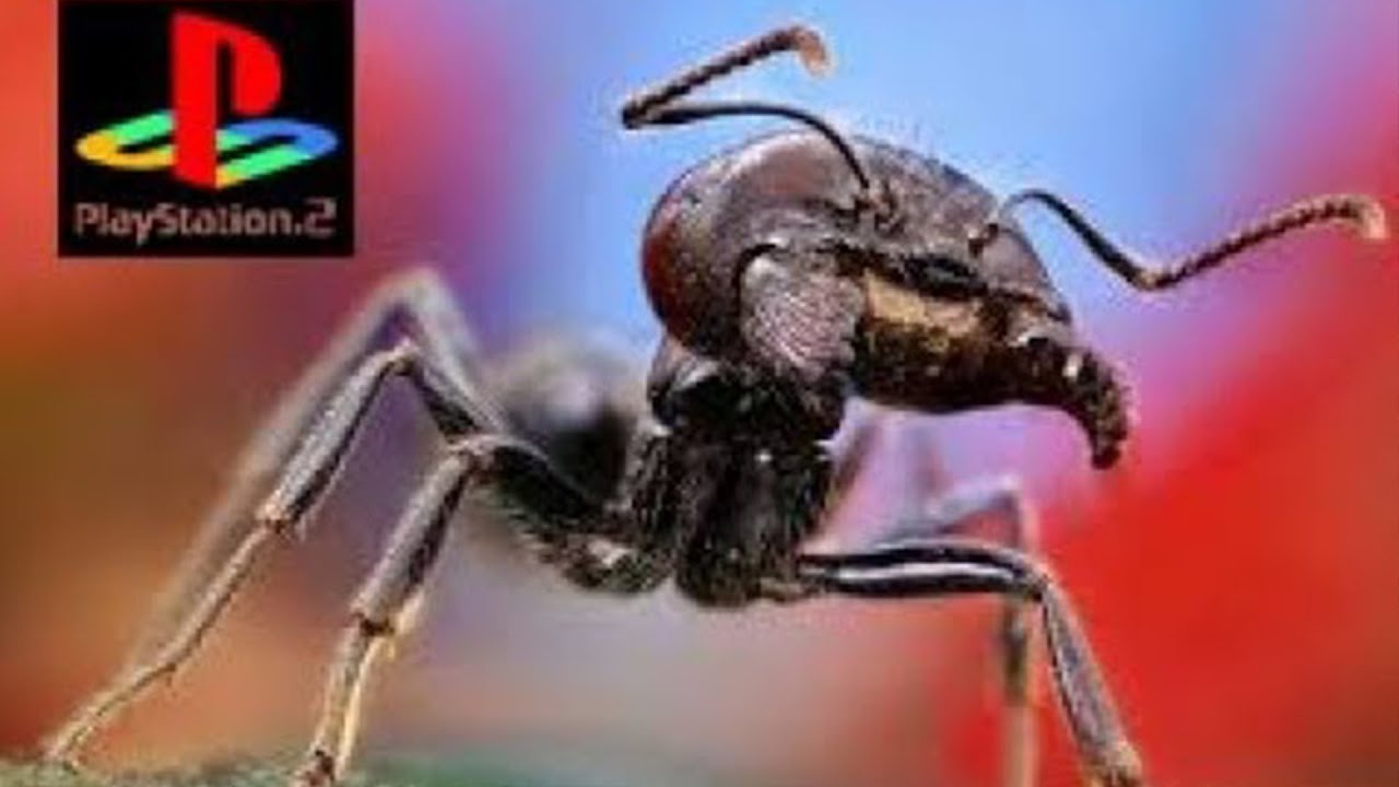 Some Ant Games for PS2 - YouTube