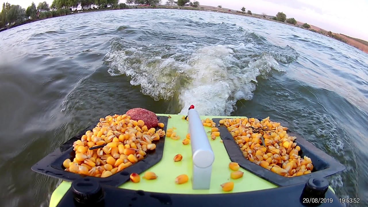 BALTA BUGEAC CRAP , TEN/AMUR si CARASI LA 1 KG BUCATA! 29.08.2019 - YouTube
