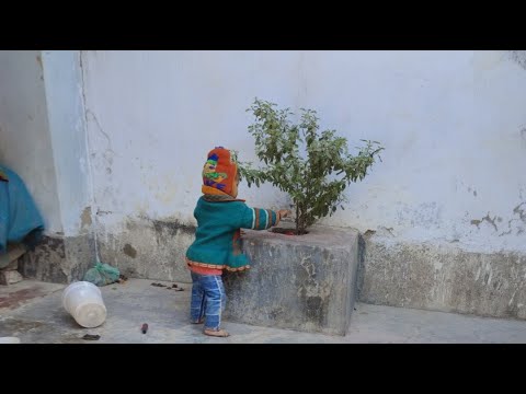 Kreeshnnaa Official is live! Chhota krishna Orr meri radha rani khel ...