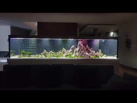 Aquarium 4000 L - YouTube